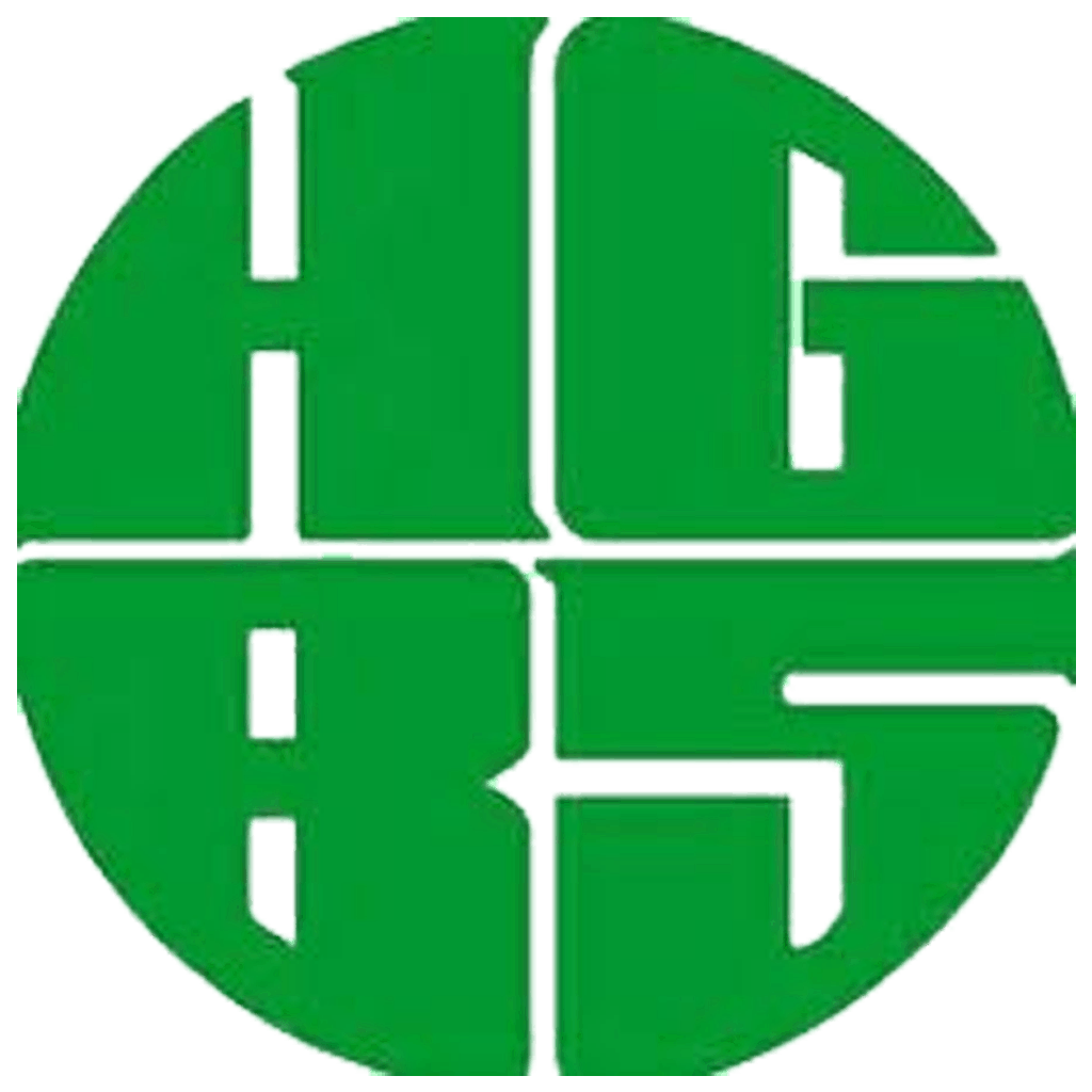 "HSV Bad Blankenburg war eine Nummer zu groß" - Spielbericht der HG 85 ...